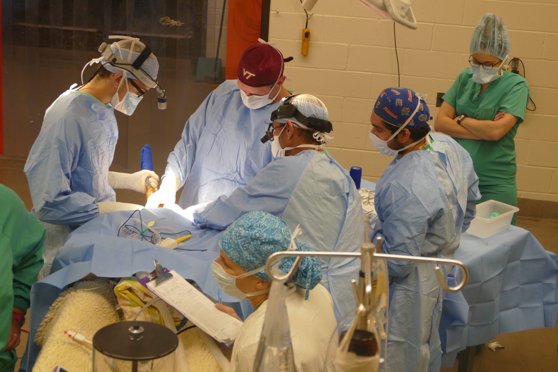 Dr. Hummel's Uncommon Patient - Skylos Sports Medicine